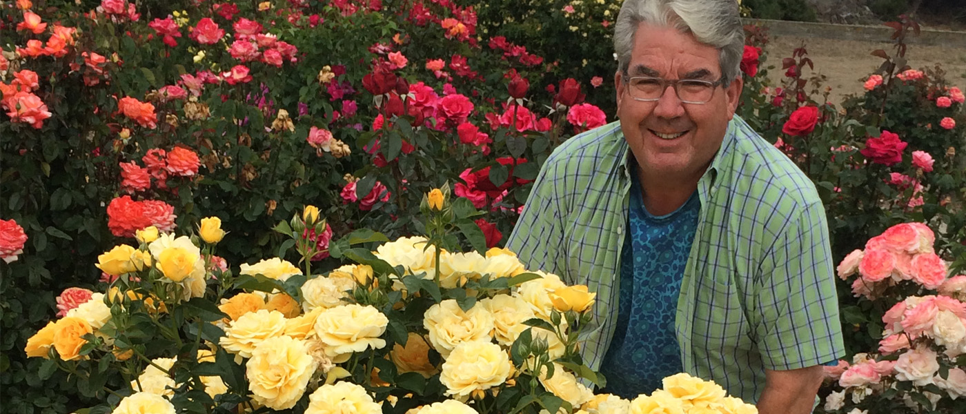 Meet American rose breeder Tom Carruth | Storyteller Garden